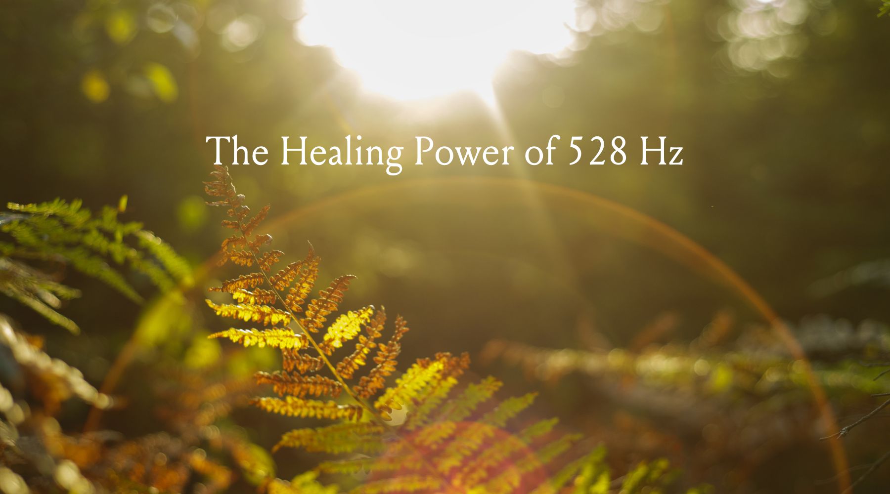 The Healing Power of 528 Hz: Elevating Your Skincare Ritual – Henua ...